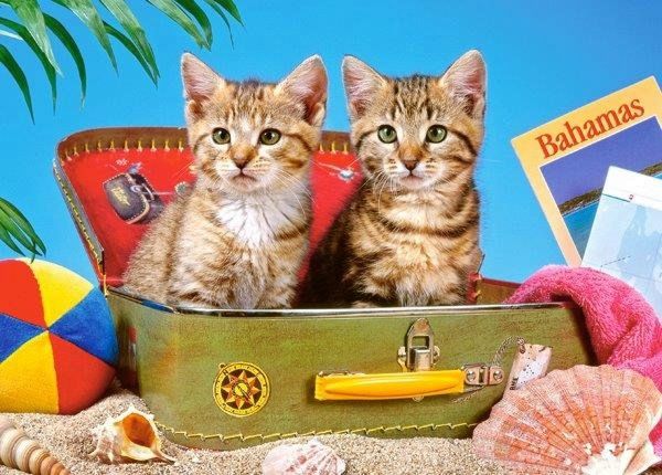 Котенца в куфар - 里 пъзел - store.bg