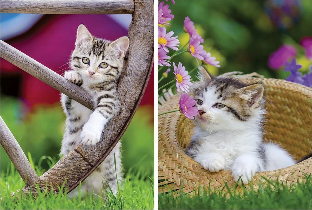 Пъзели Котенца на село Ravensburger - store.bg